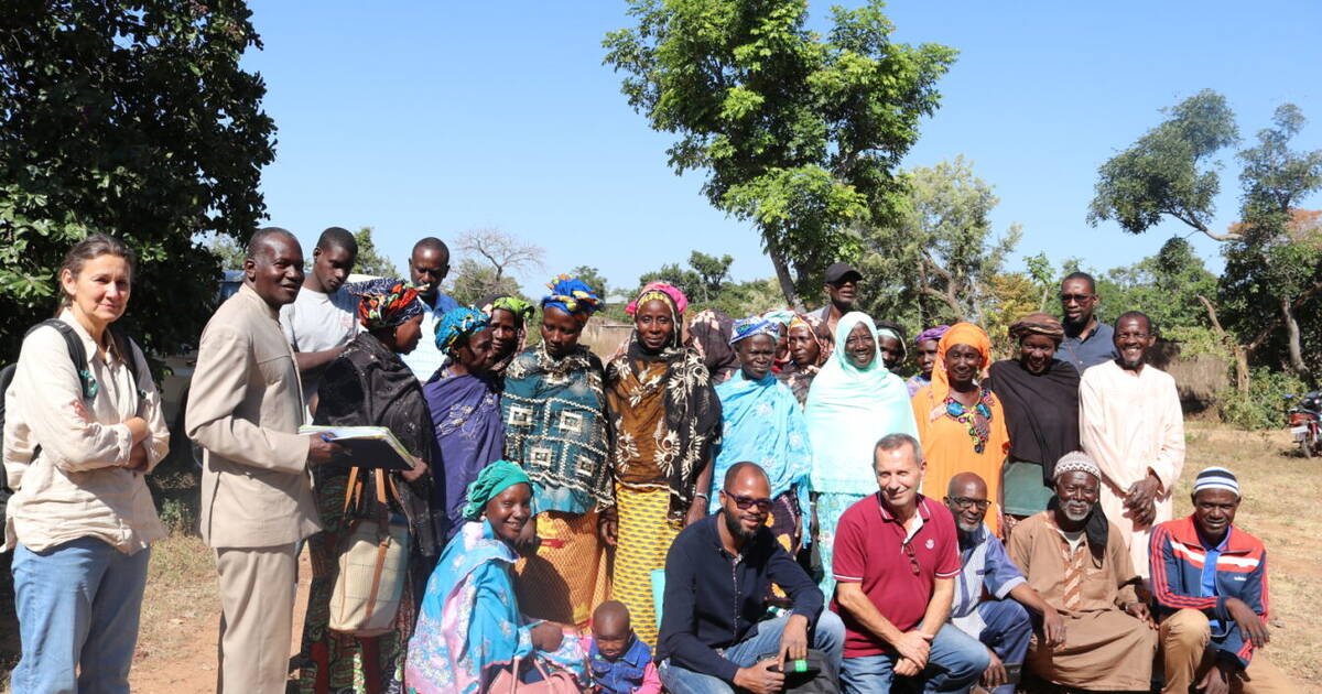 Mali’s first-ever Community-Based Breeding Program is launched | ICARDA
